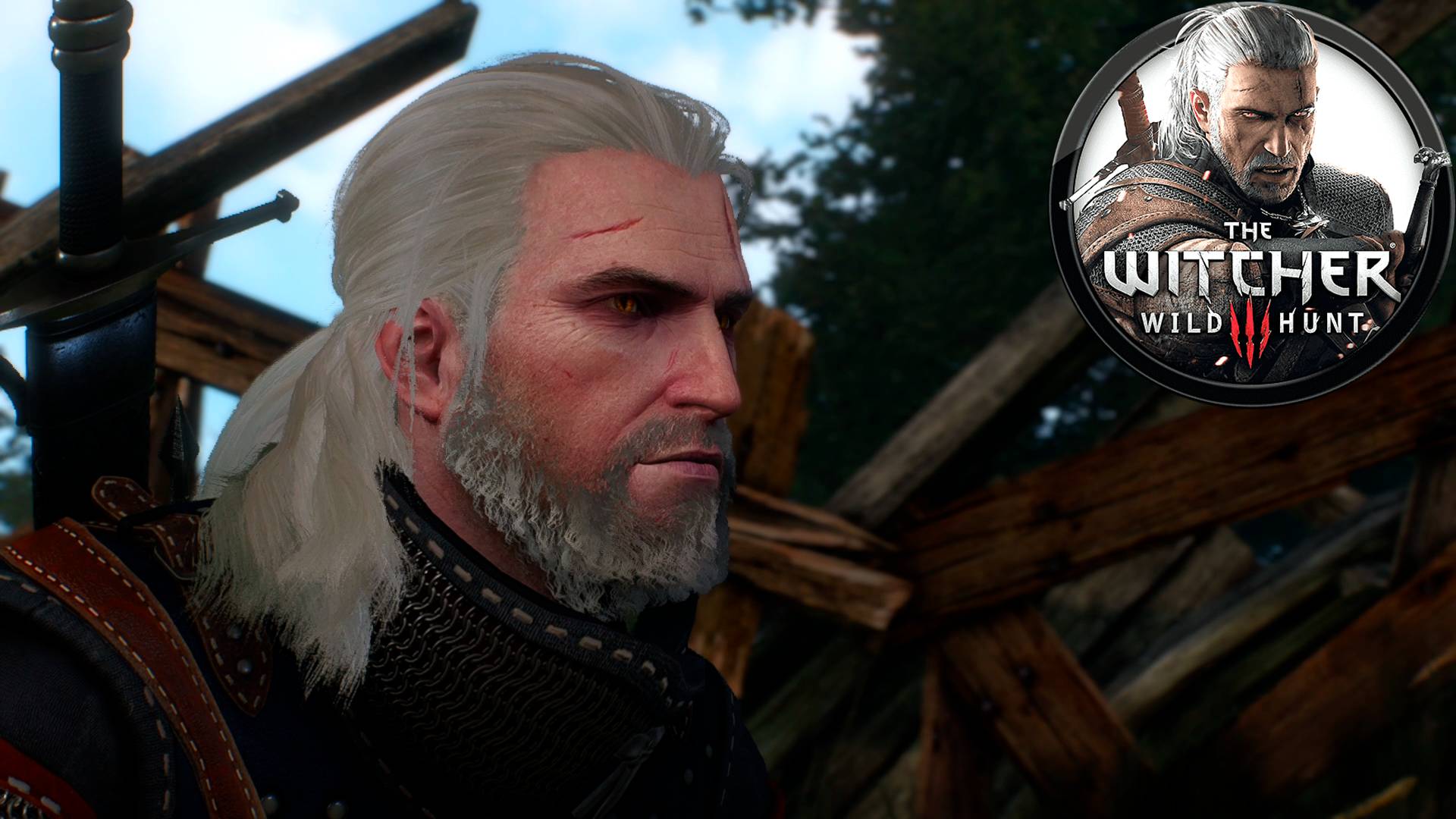 Ведьмак 3 без интерфейса - заказ #6 - доброволец