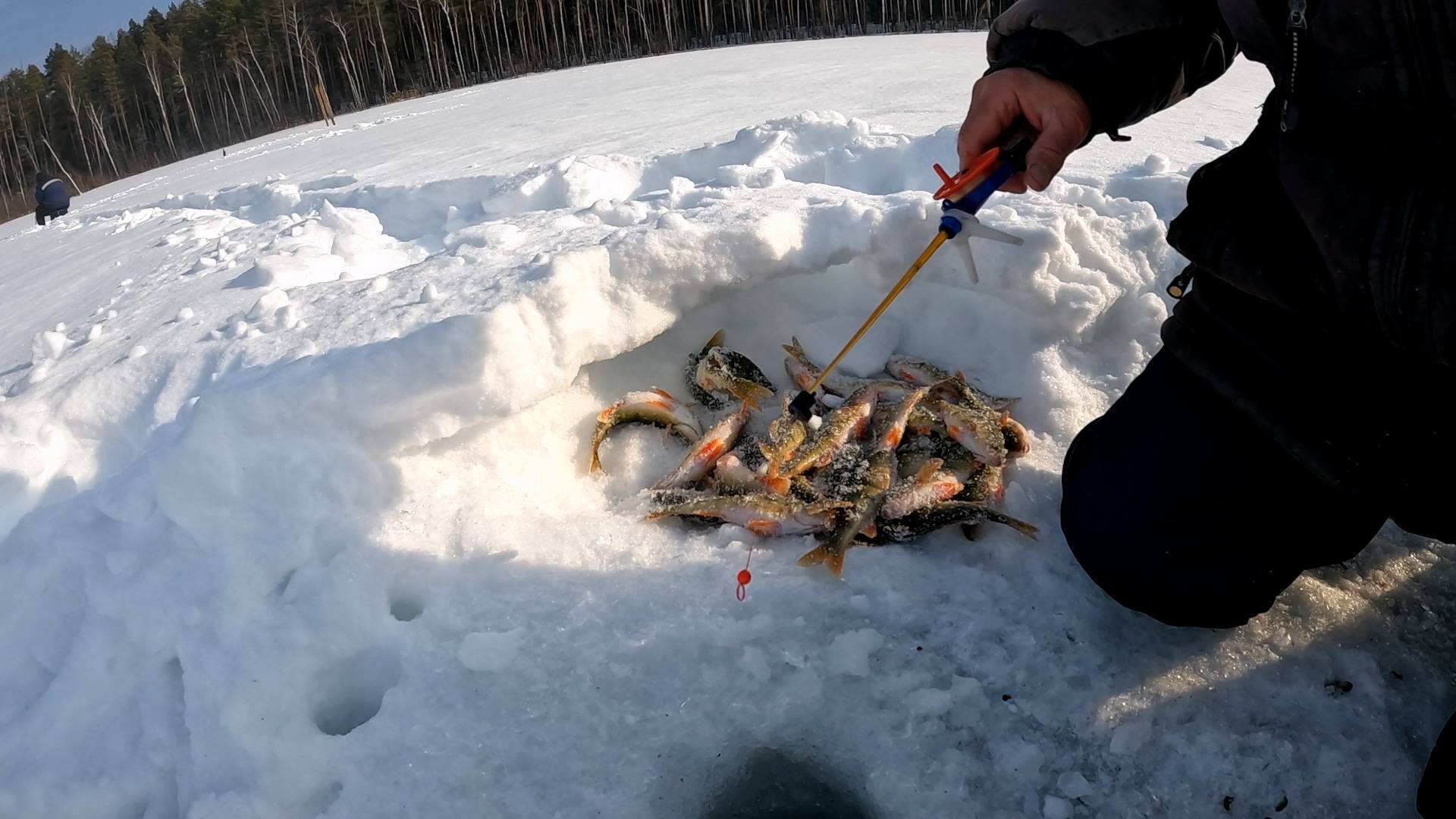 Ловля окуня. День второй.