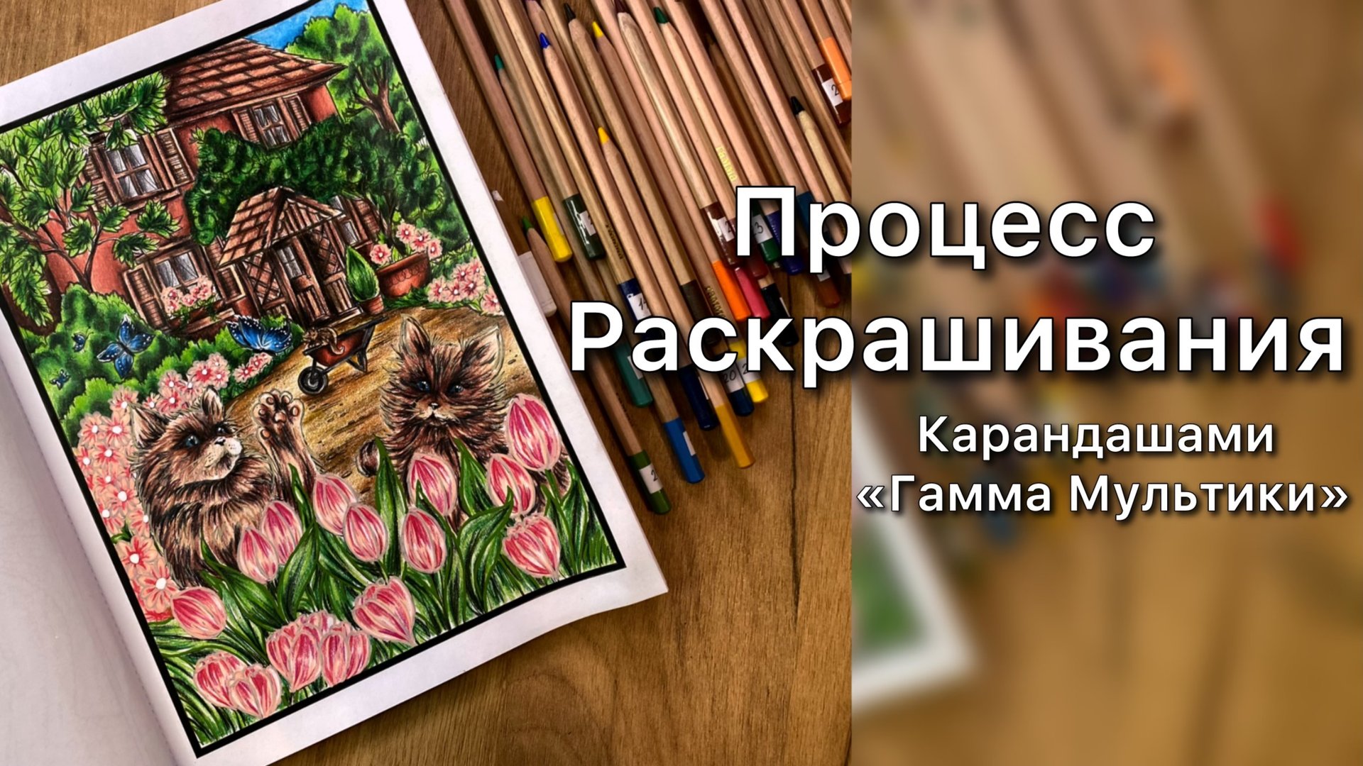 Раскрашиваю карандашами ГАММА МУЛЬТИКИ/ Creative Haven