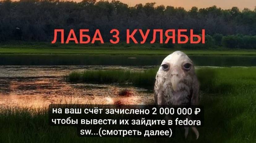 Защита лабораторной работы 3