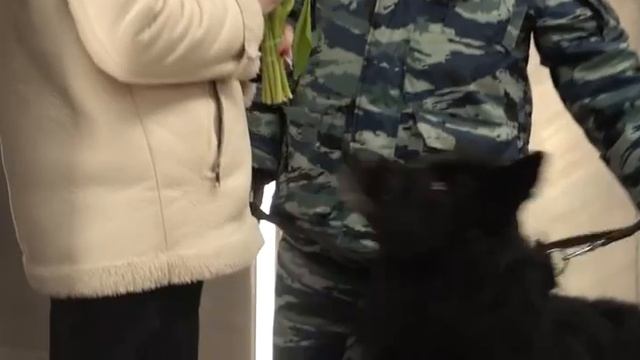 Поздравления с 8 мартом по Москве (полная версия)