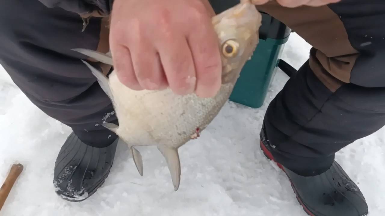 РЫБАЛКА В МАРТЕ! И ТАКОЕ БЫВАЕТ! ЗИМНЯЯ РЫБАЛКА 2025!!!