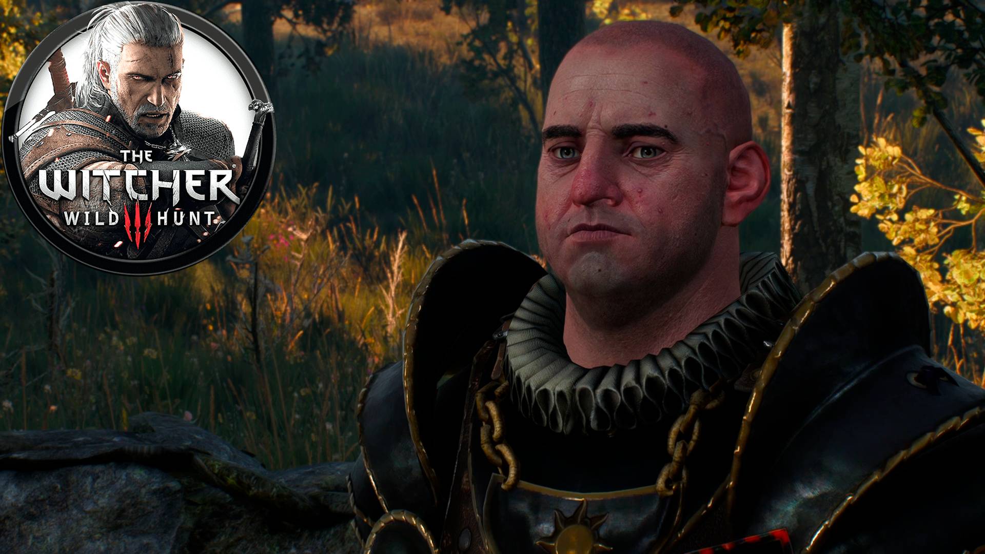 Ведьмак 3 без интерфейса - заказ #8 - тайна деревни Стёжки