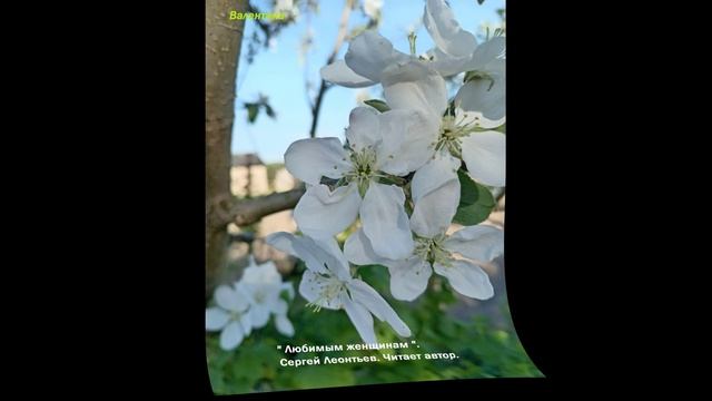 Друзья, поздравляю с праздником!