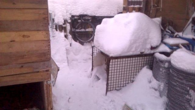 WP_20170129_17_27_58_Pro