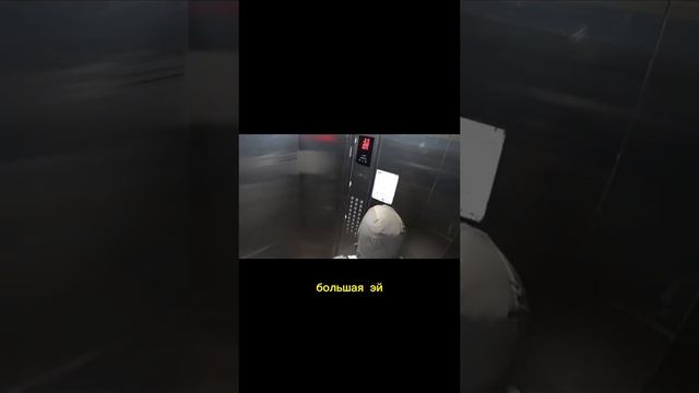 лифт с Алисой