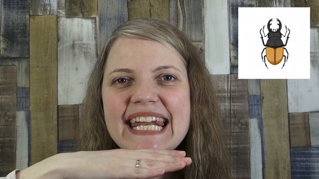 УПРАЖНЕНИЕ №10 «ЖУК». Артикуляционная гимнастика с логопедом.