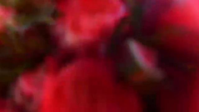 Поздравляем с 8 марта (короткая версия)