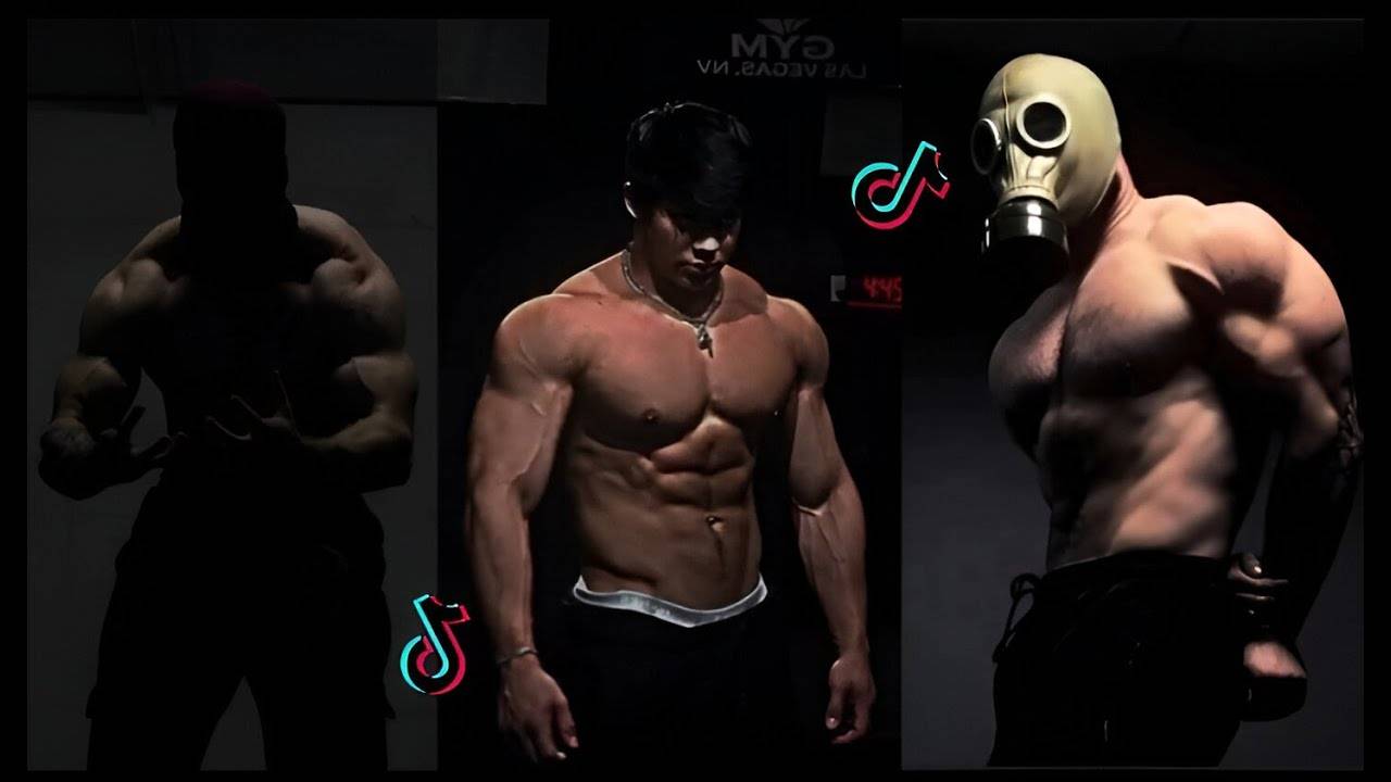 『 𝐆𝐘𝐌 』𝐂𝐨𝐦𝐩𝐢𝐥𝐚𝐭𝐢𝐨𝐧 | 𝐄𝐝𝐢𝐭 𝟏𝟏