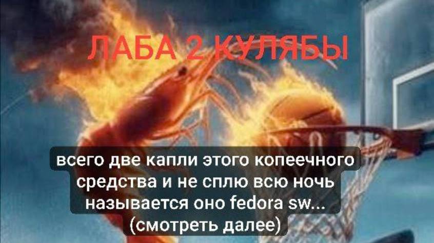 Лабораторная работа 2