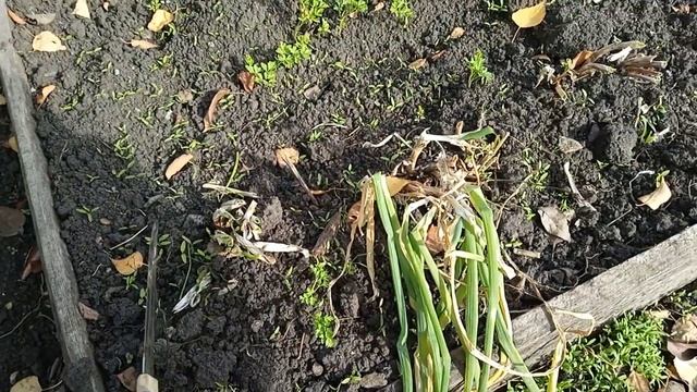 Подготовка к зиме