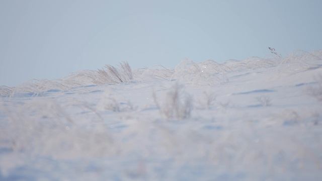 Поздравление с Днем Рождения духовному отцу #Табынскийскит