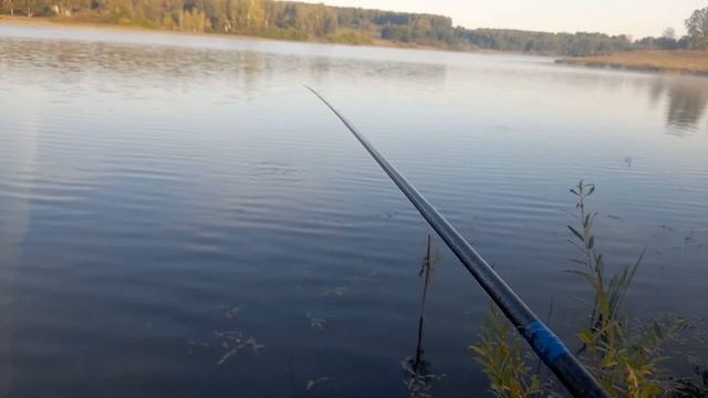 Рыбалка на озере удалась. Рыба хватается на лету за пустой крючок. Рыба любит эту приманку
