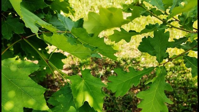 А  Барто  Верёвочка  #стихиодетях #поэты20века