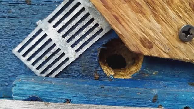 Ревизия и утепление после облета. 27/02/2021.