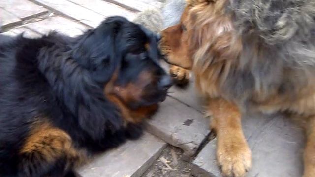 WP_20170613_19_25_59_Pro