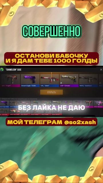 открыл кейс