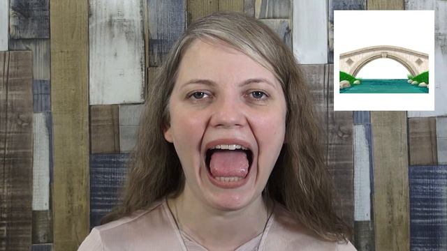 УПРАЖНЕНИЕ №3 «МОСТ». Артикуляционная гимнастика с логопедом.