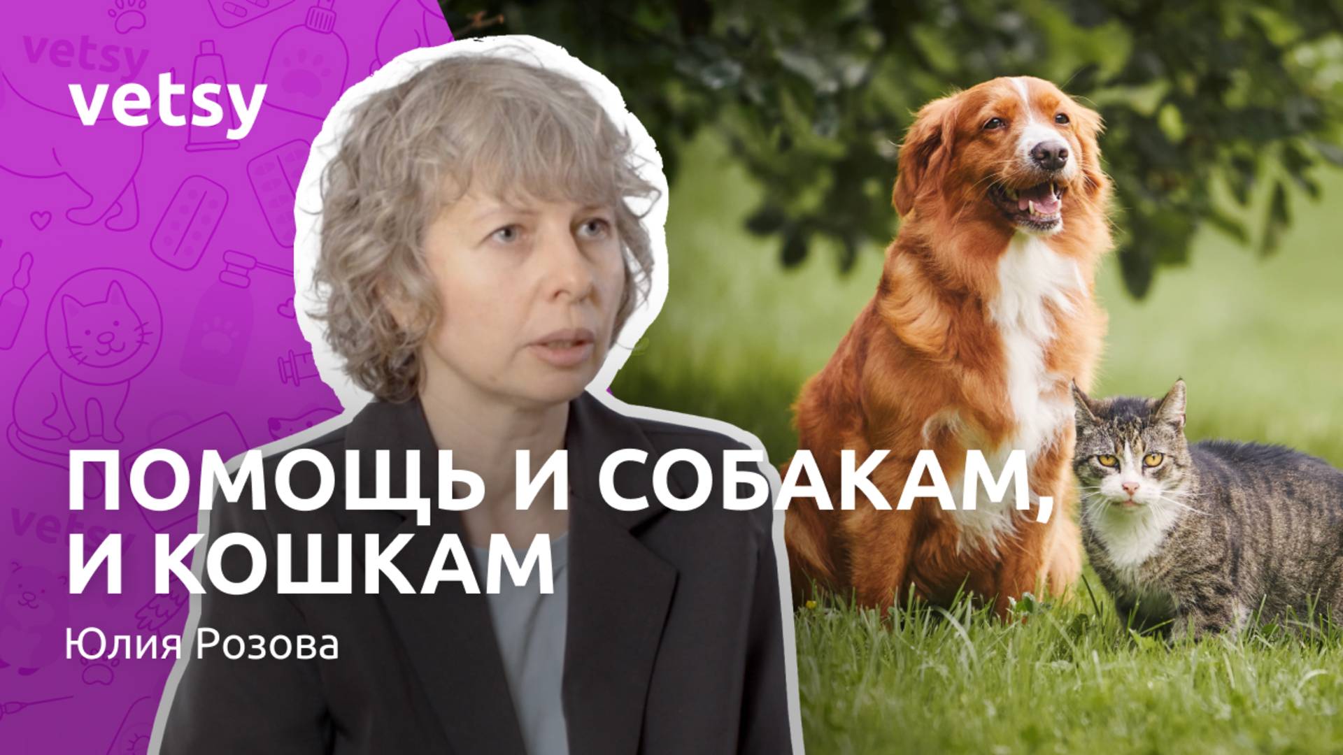 Юлия Розова: зоопсихолог и фелинолог. Как они помогают собакам и кошкам?