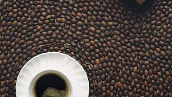 Still Life WORKS Photo 02