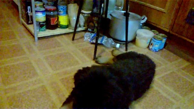 WP_20160424_22_36_55_Pro