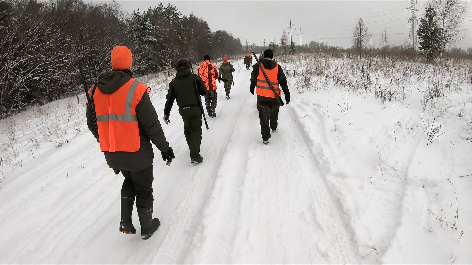 Облава на лис | Коллективная охота | Польза угодьям