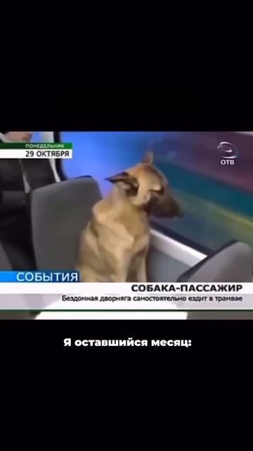 До конца… 🤣🤣🤣