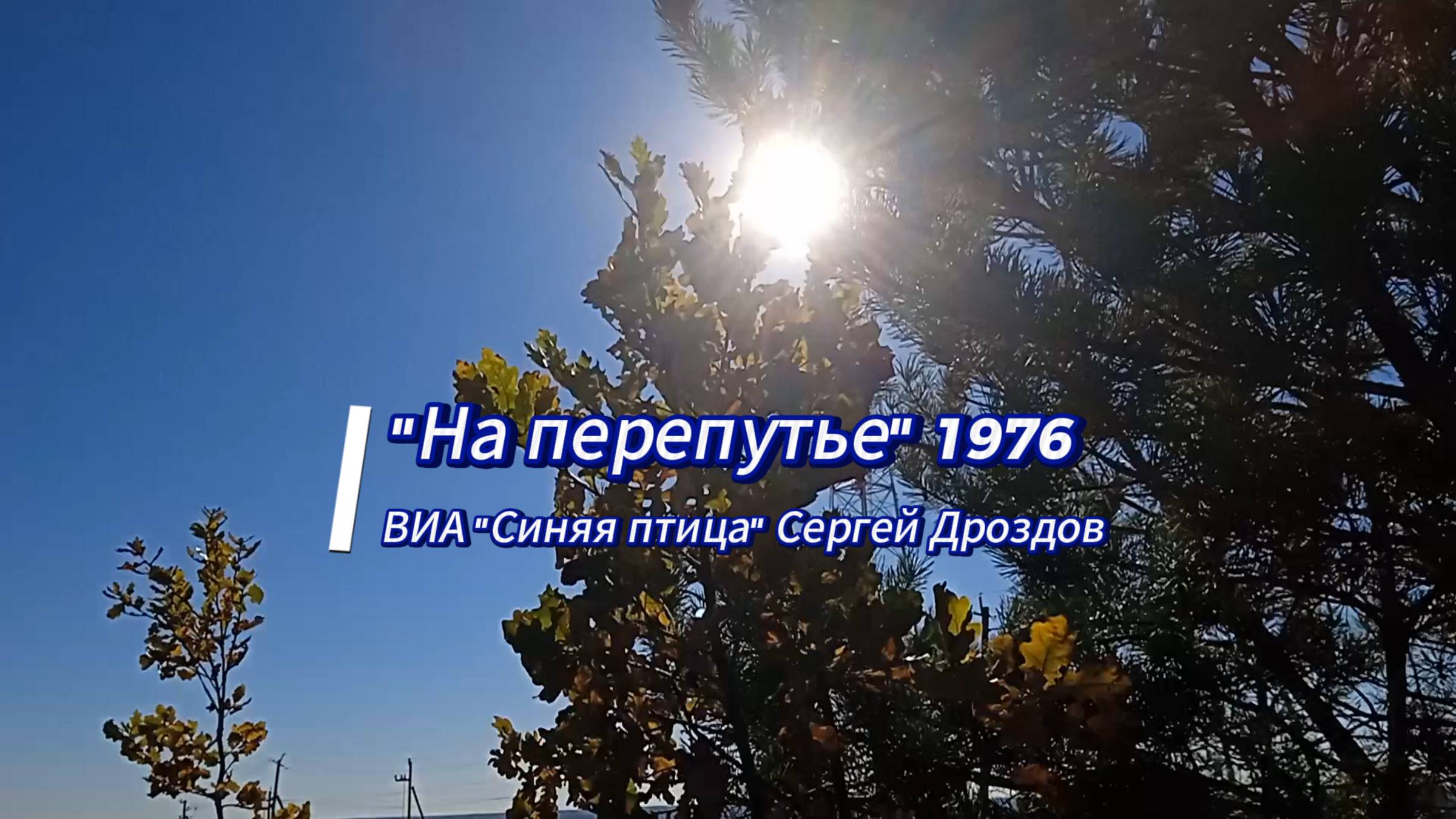 На перепутье - Сергей Дроздов ВИА "Синяя птица" 1976