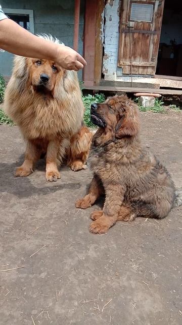 video_20210611_125151