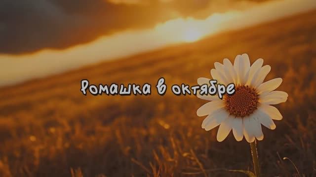 Ромашка в октябре