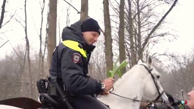 Поздравляем Прекрасных Дам, Девочек, Женщин с 8 Марта! (короткая версия)