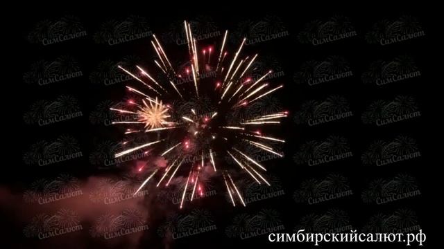 Профессиональный салют (№2029) (185)