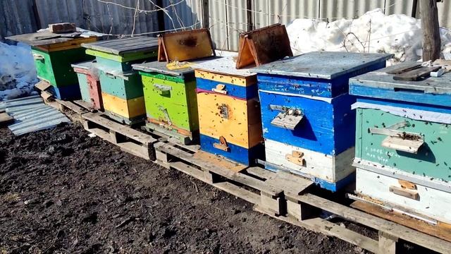 21 марта 2022 г.