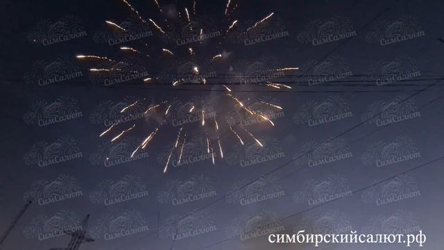 Профессиональный салют (№2125) (75)