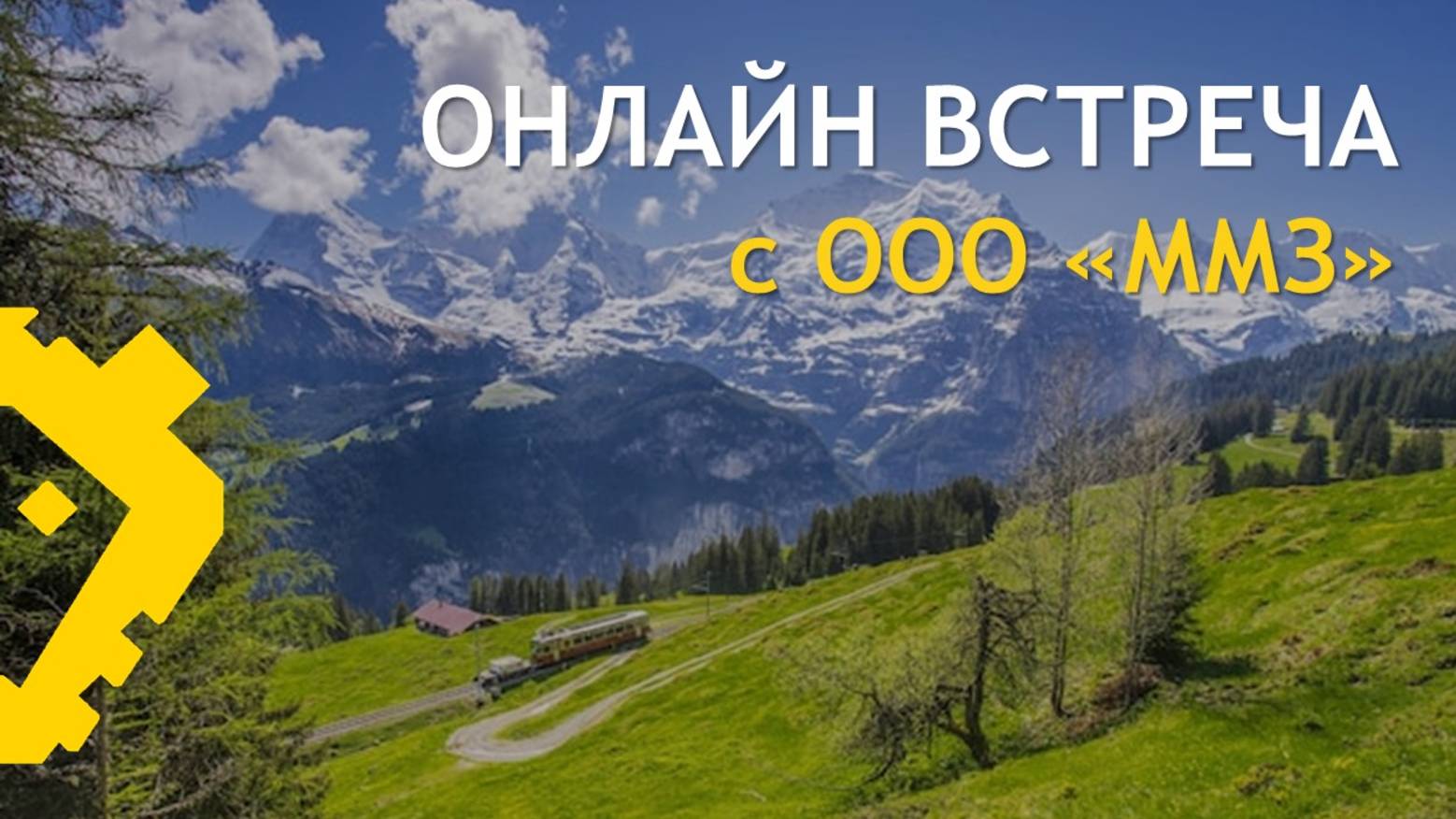 Онлайн-встреча с  ООО "ММЗ"