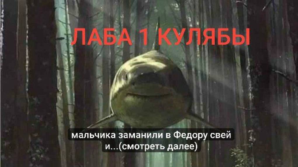 Защита лабораторной работы 1