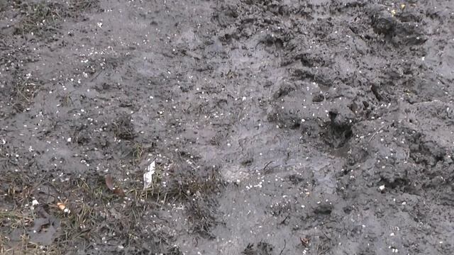 Михаил Кузмин." О Разбойнике" (духовный стих). Дмитрий Степанович