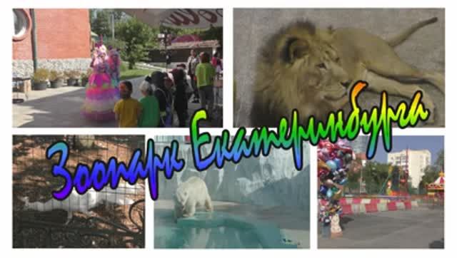 Зоопарк Екатеринбурга.