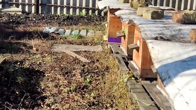 8 ноября 2023 г.