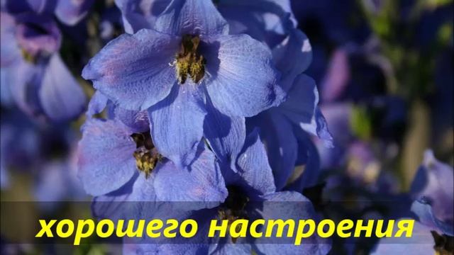 8 марта на ПК