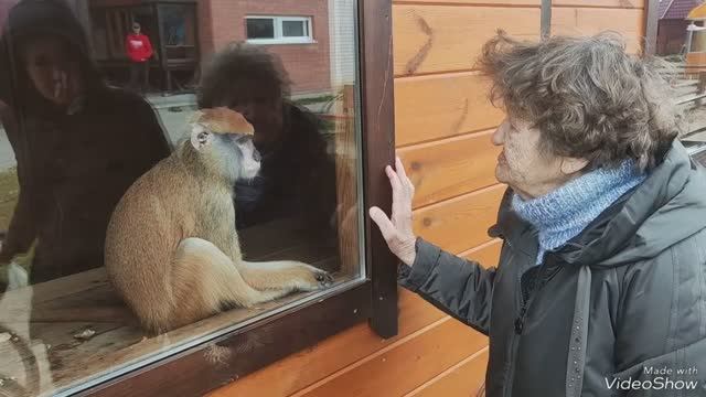 Повезли бабушку  на #страусинноеранчо #зоопарк #барнаул