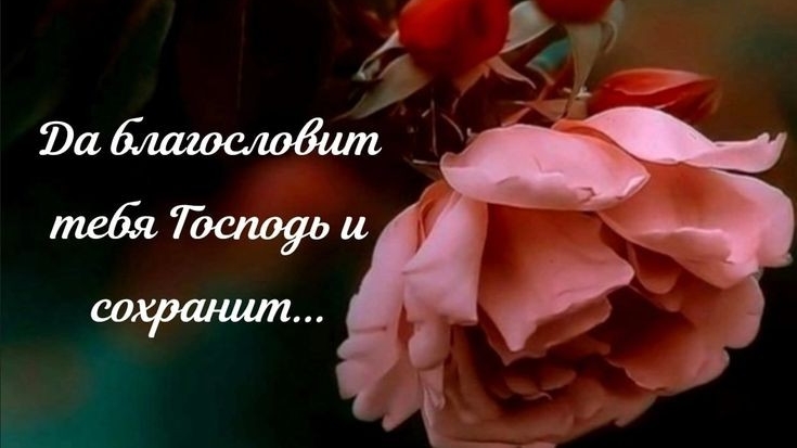 Тебе, сестра 🌷 | стихи христианские