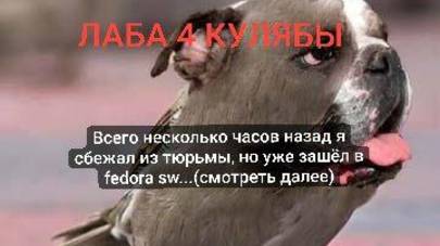 Отчёт по 4 лабораторной работе