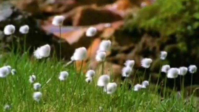 Совершенный Бог