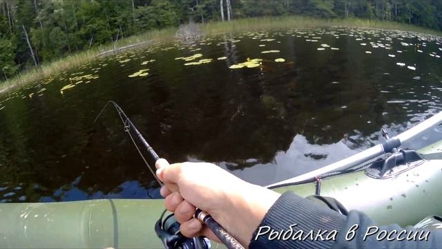 Самая уловистая блесна на щуку. Незацепляйка. Рыбалка на диком озере