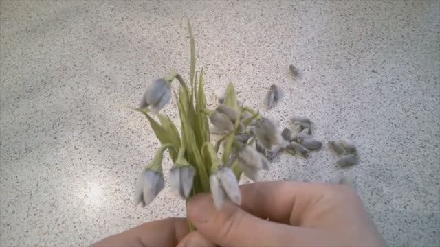 Смотрите, какие из вербы получились подснежники.