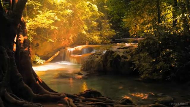 Медитация для внетелесной практики.