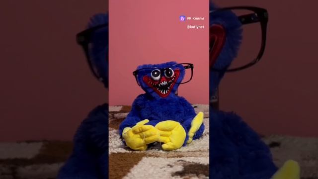 Если бы котики ходили в школу - любимый учитель