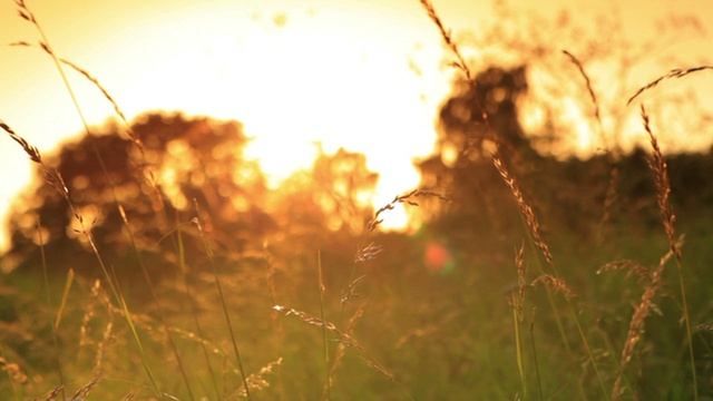 Древлегорск