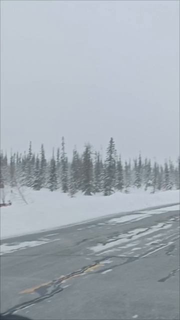 Они тоже опаздывают